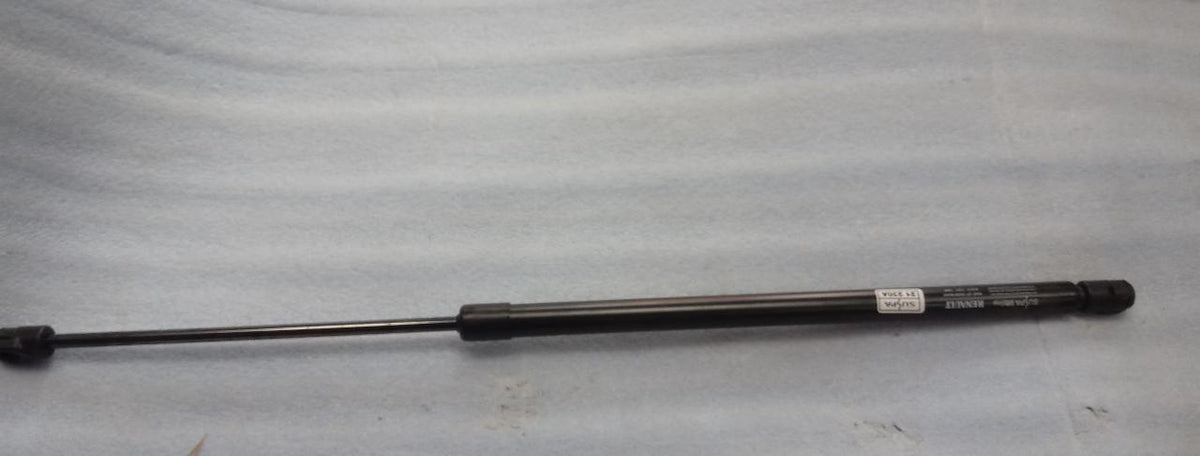 654712943R Bonnet Shocker Duster – CarTrends